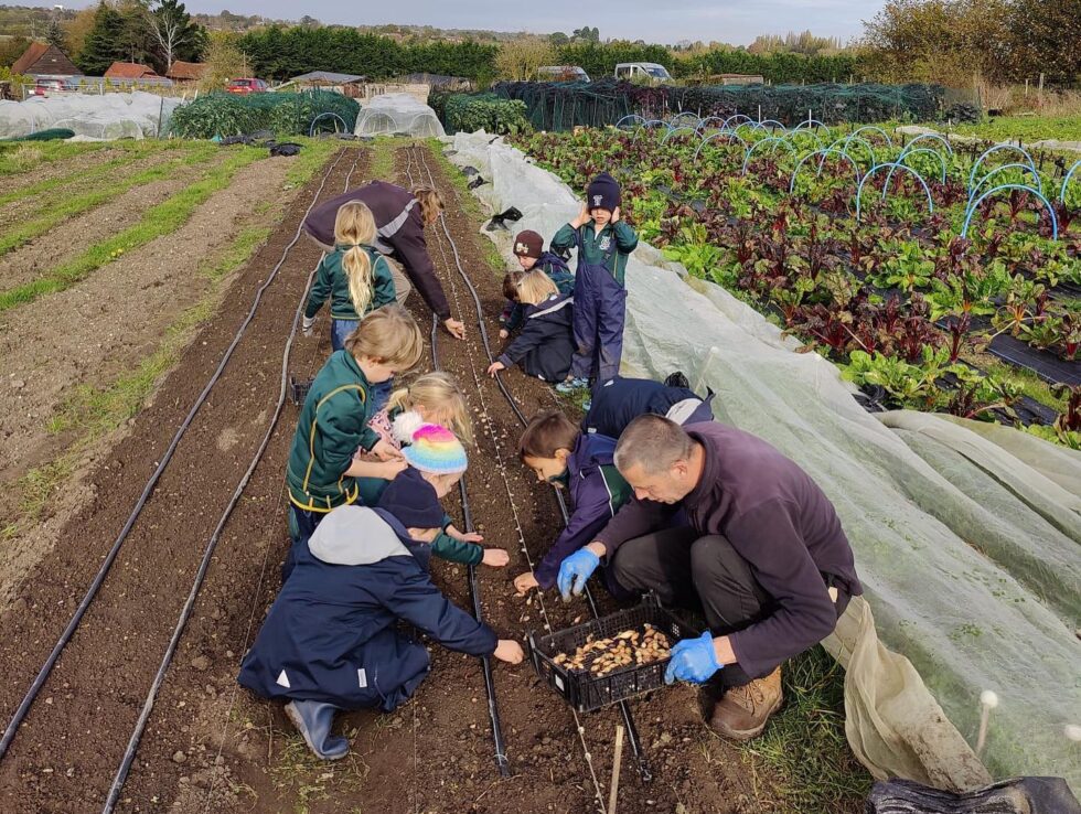 Renewable Energy News | Harmony Energy